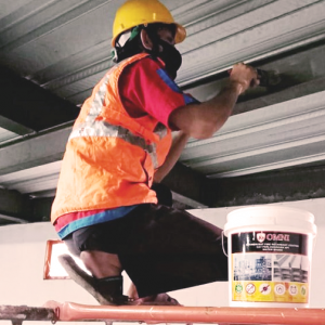 Home - OMNI CAT ANTI API